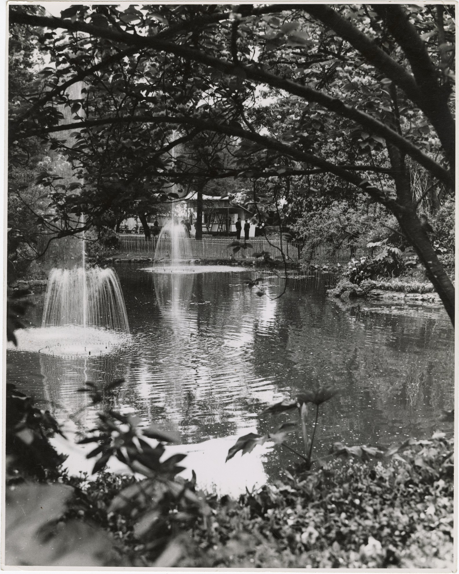 Image of a water feature in Treasury Gardens - City Collection
