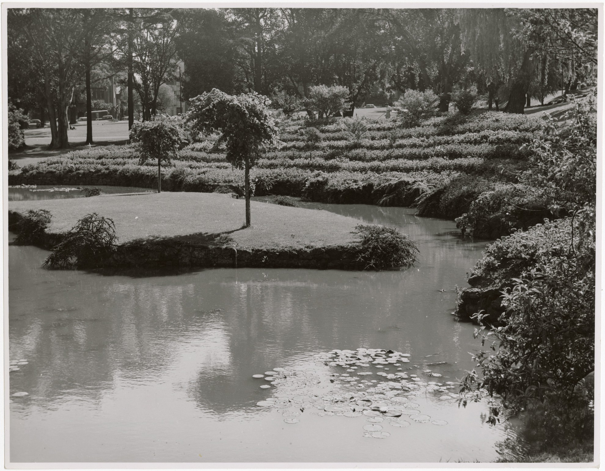 Image of a lake in Treasury Gardens - City Collection