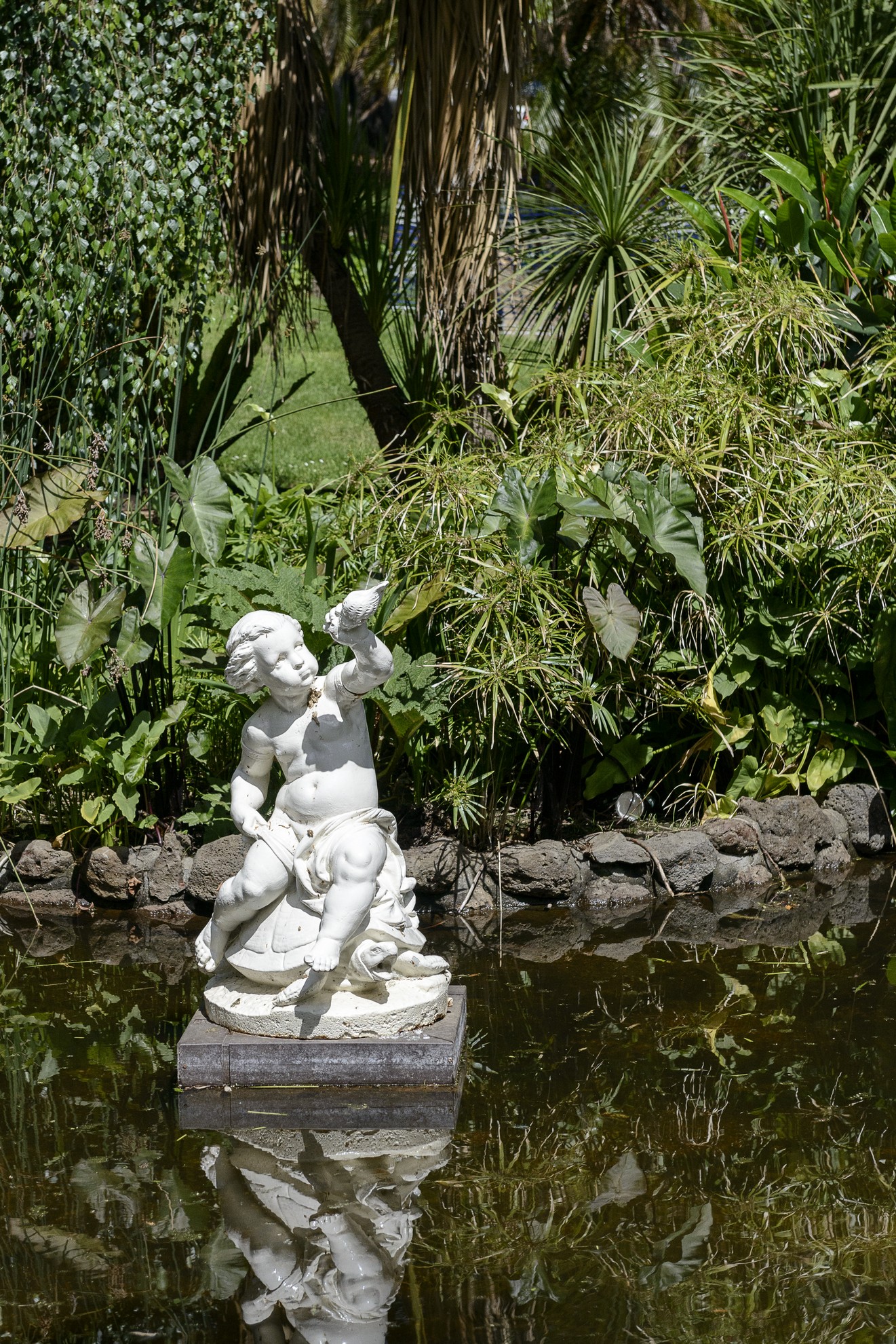 Boy on a Turtle - City Collection