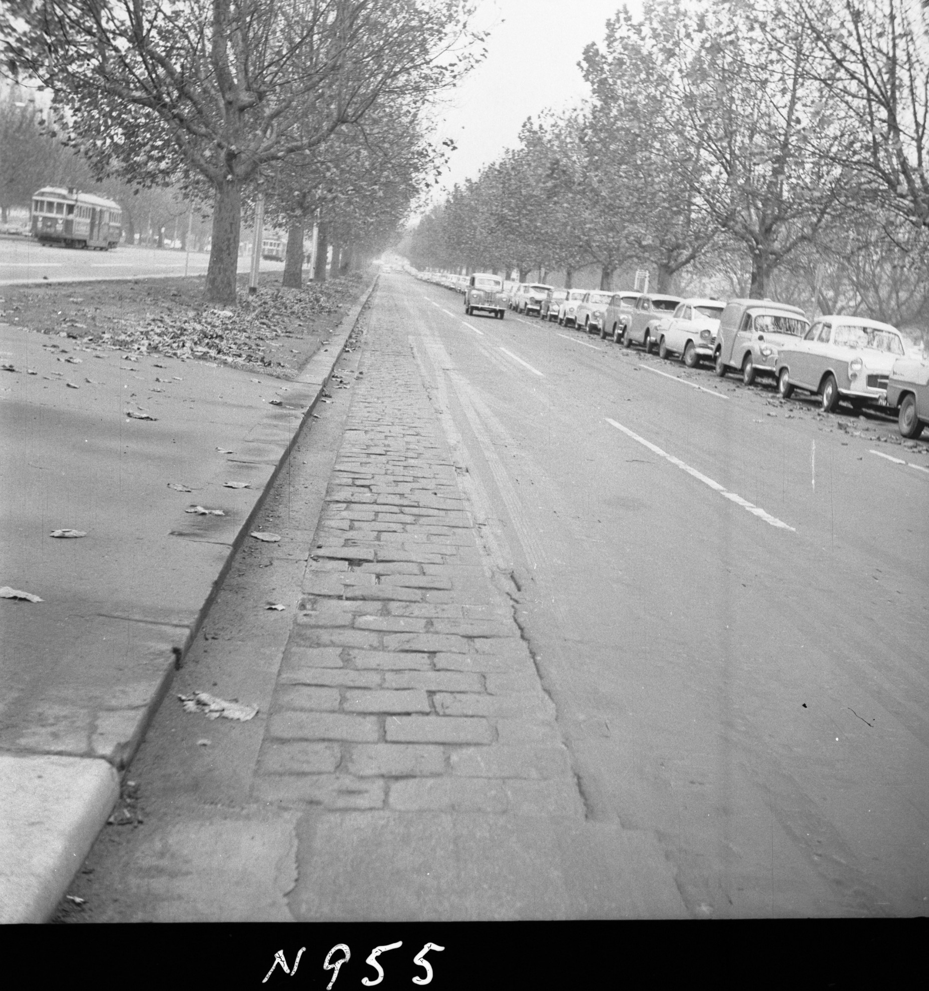 N955 Image showing wide channelisation on the west side motor track of ...