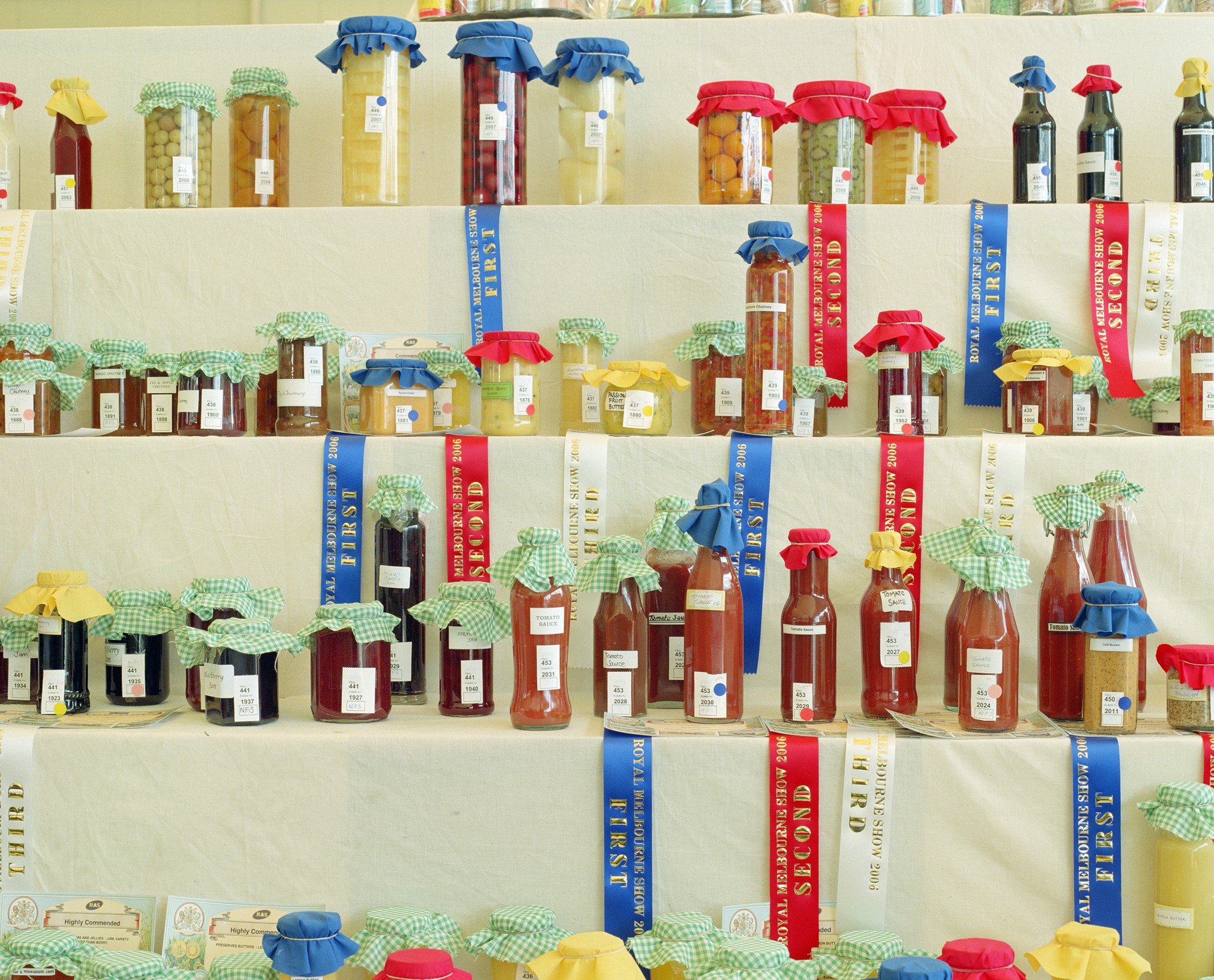 PS_206_1 - City Collection