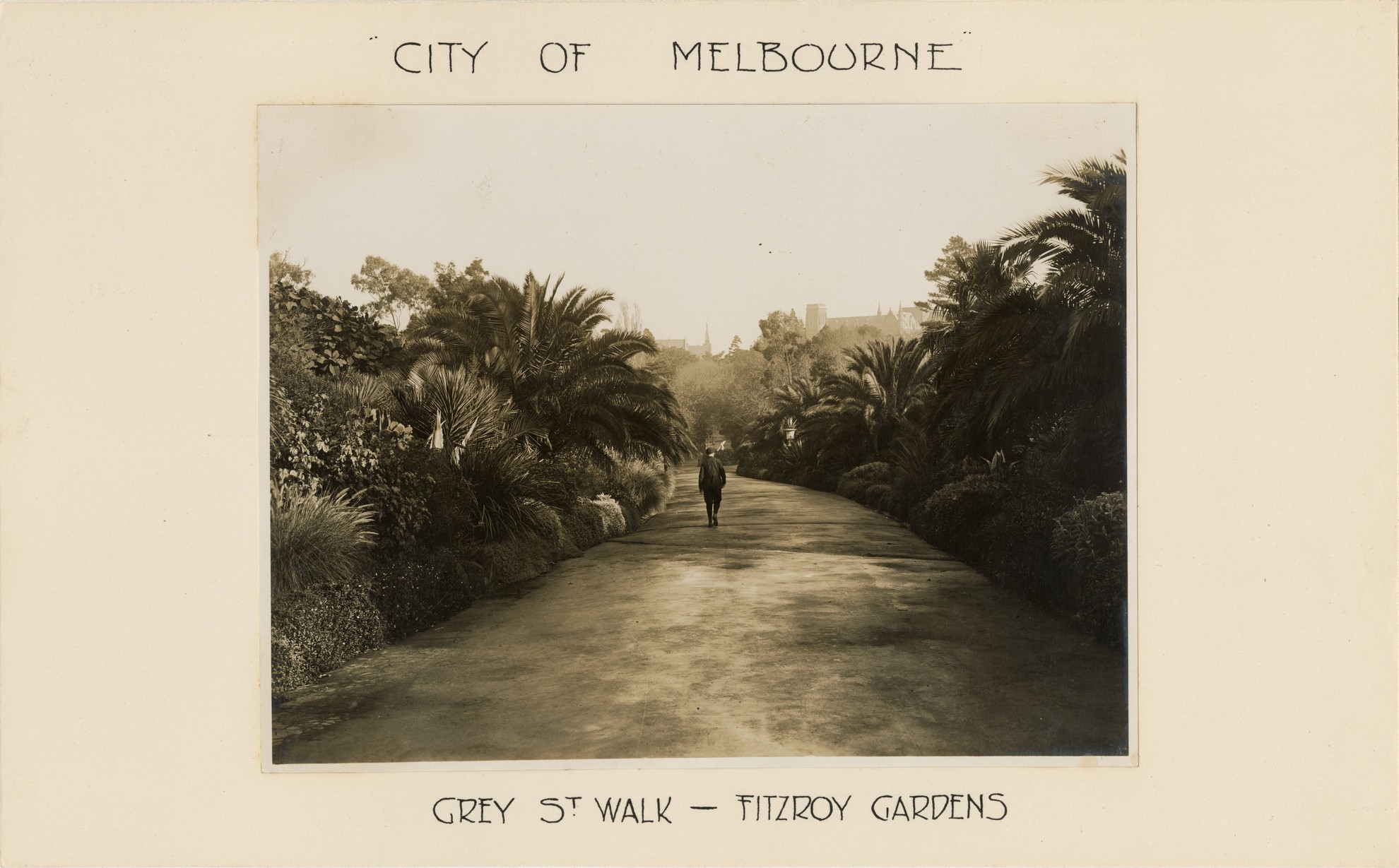 Image of Grey Street walk in Fitzroy Gardens - City Collection