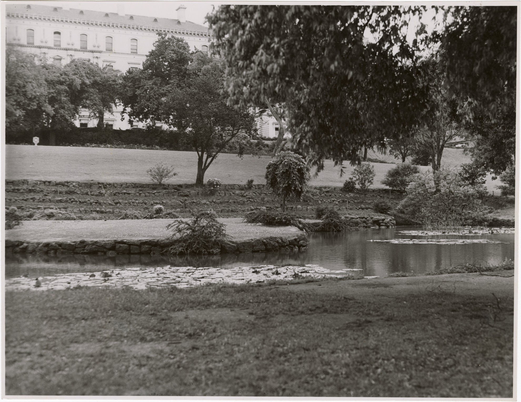 Image of a lake in Treasury Gardens - City Collection