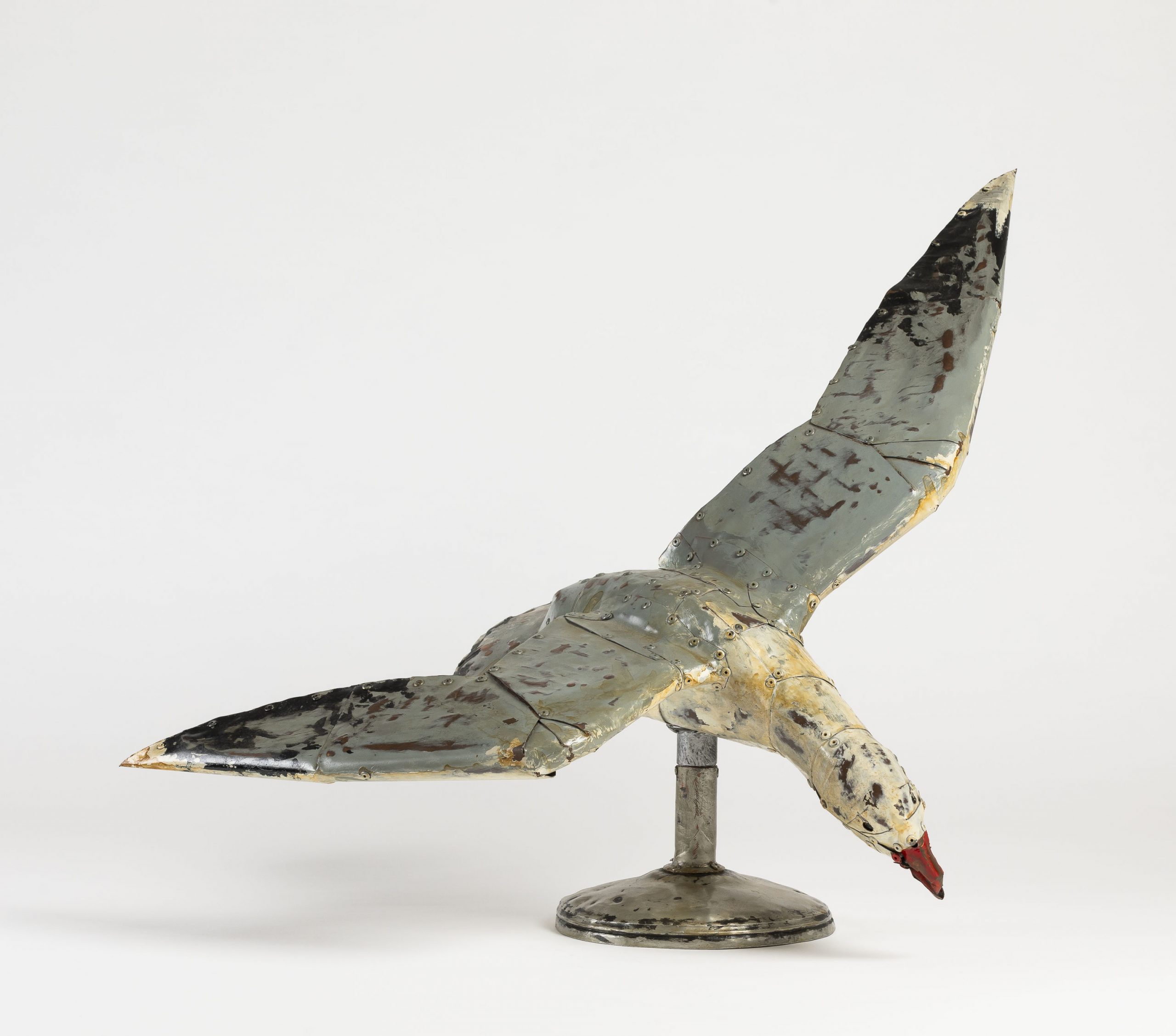 Seagull - City Collection