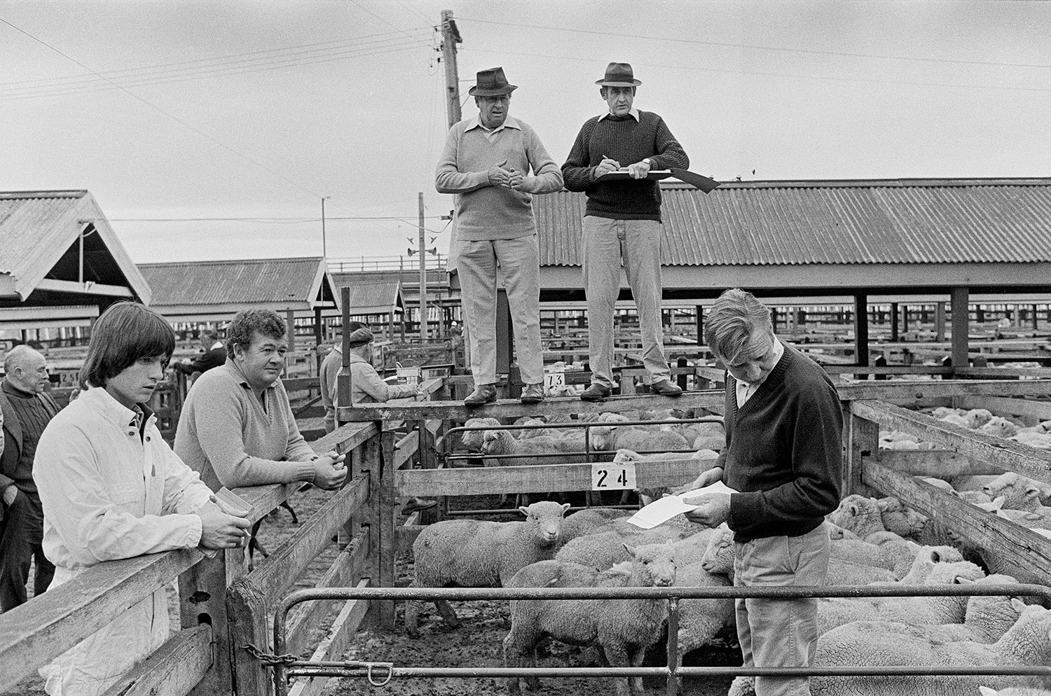 Newmarket Saleyards, Kensington - City Collection